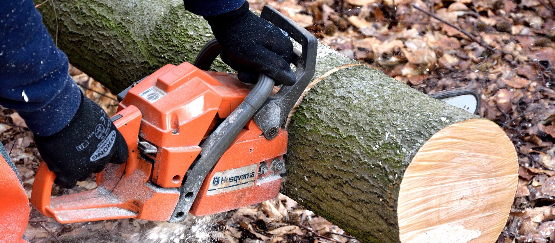 PELATIHAN OPERATOR CHAINSAW