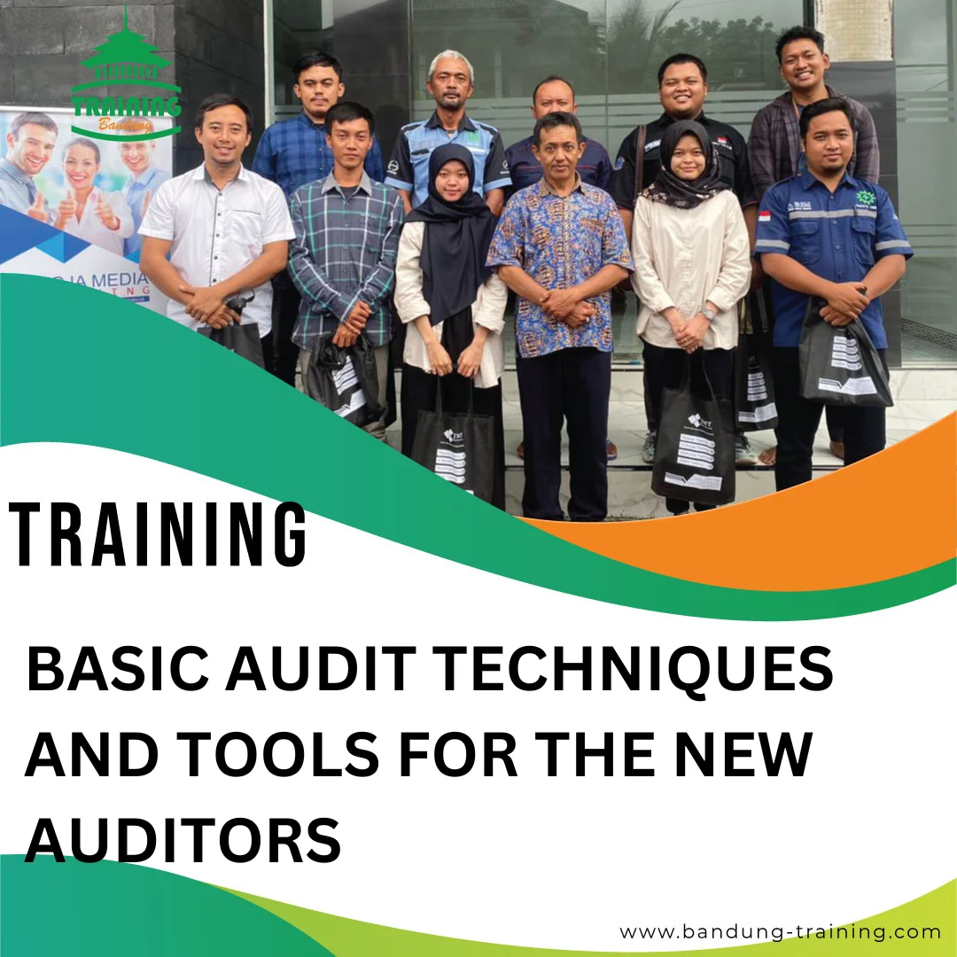 TRAINING BASIC AUDIT TECHNIQUES AND TOOLS FOR THE NEW AUDITORS ...